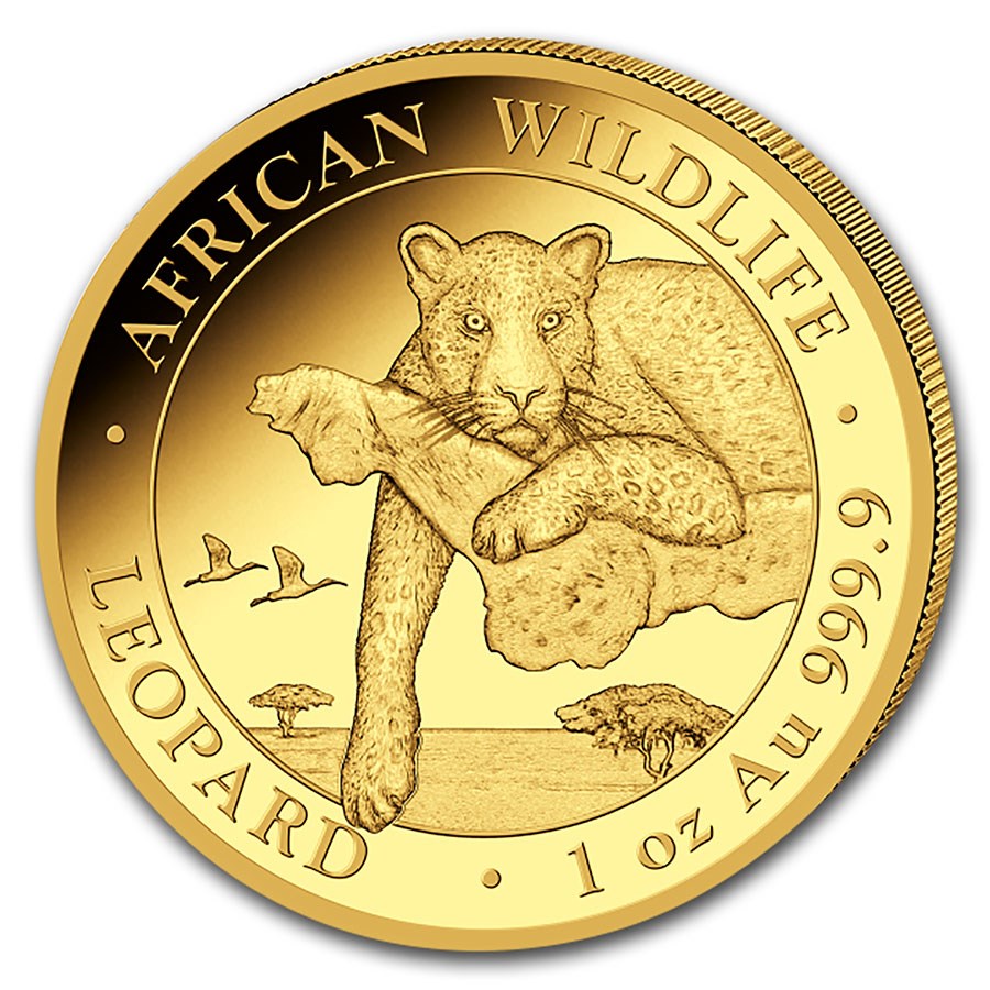 Buy 2020 Somalia 1 oz Gold African Wildlife Leopard BU Coin Online ...