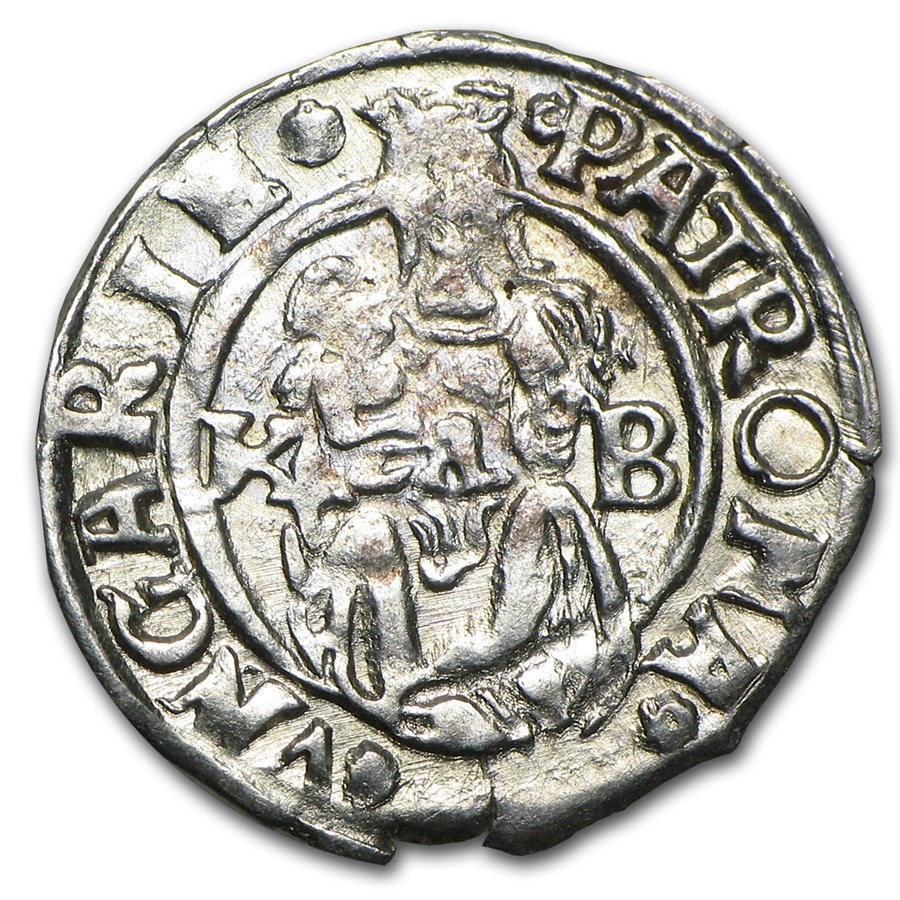 Buy 1540 Hungary Silver Denar Ferdinand I VF | APMEX