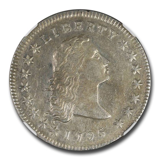 Buy 1795 Flowing Hair Dollar AU-53 NGC | APMEX