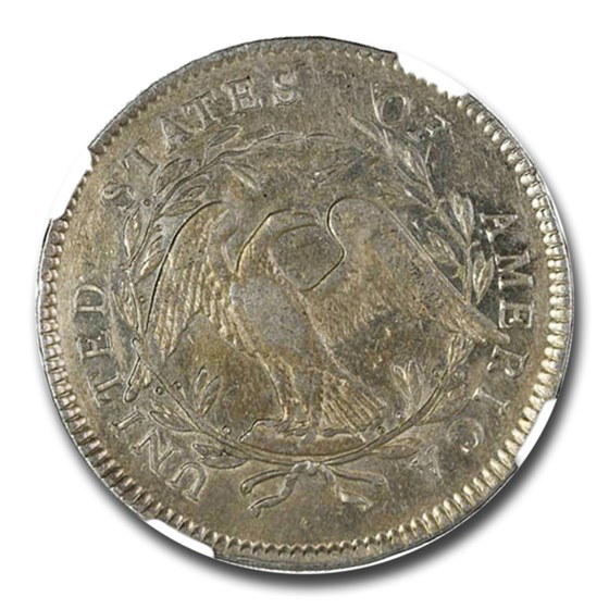 Buy 1795 Flowing Hair Dollar AU-53 NGC | APMEX