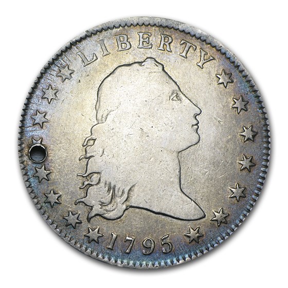 Buy 1795 Flowing Hair Dollar VG Details (Holed) | APMEX