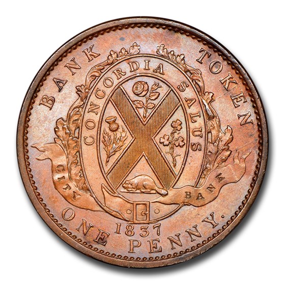 Buy 1837 Canada Copper Penny MS-64 NGC (Brown) | APMEX