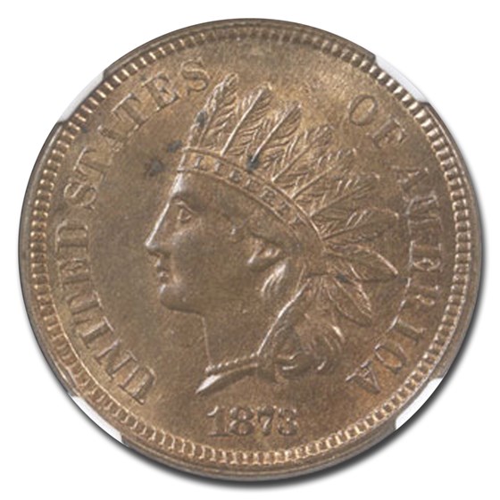Buy 1873 Indian Head Cent MS-64 NGC (Red/Brown, Open 3) | APMEX