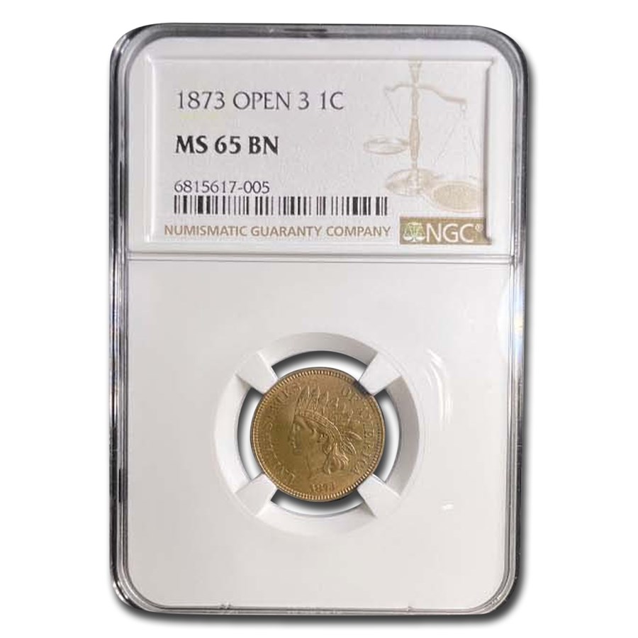 Buy 1873 Indian Head Cent MS-65 NGC (Brown, Open 3) | APMEX