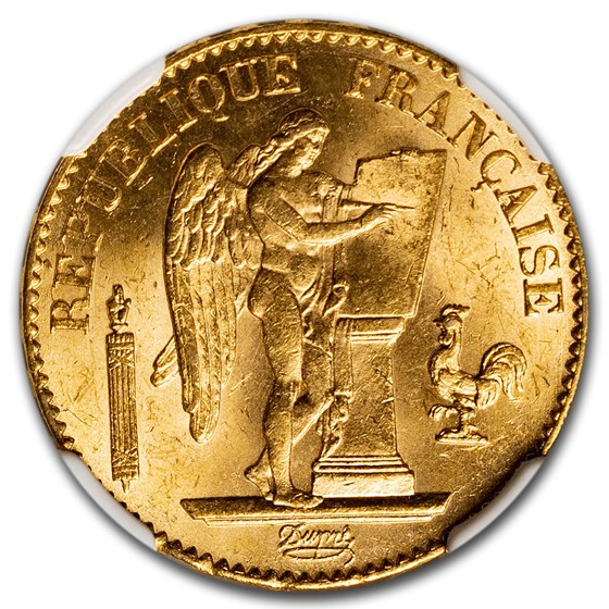Buy 1877-A France Gold 20 Francs Angel MS-64 NGC | APMEX