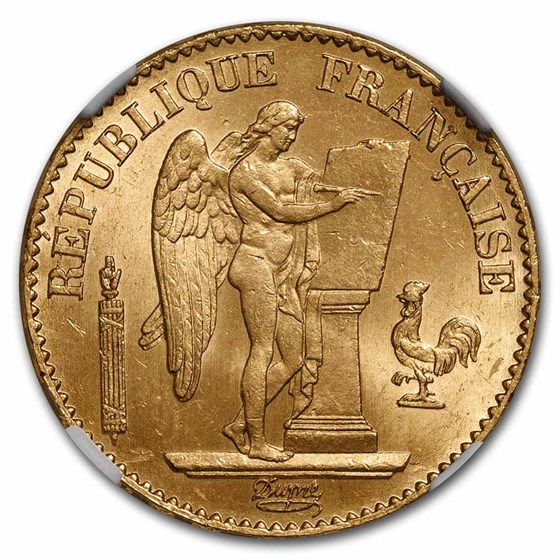 Buy 1877-A France Gold 20 Francs Angel MS-65 NGC | APMEX