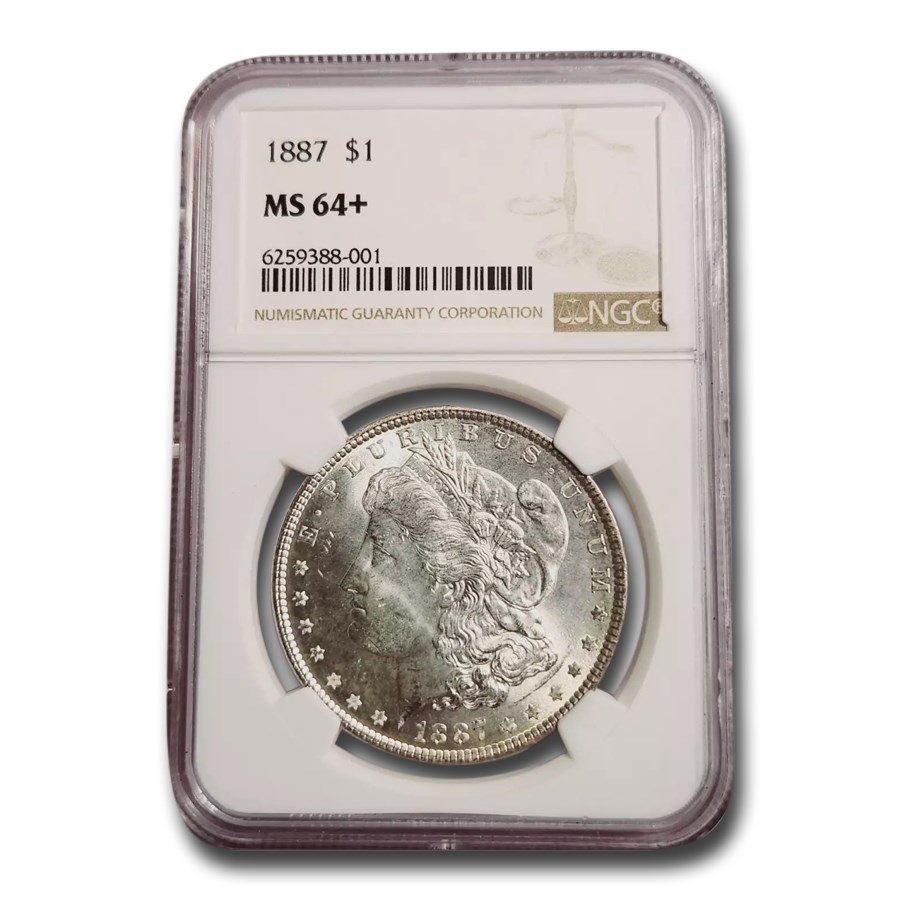 Buy 1887 Morgan Dollar MS-64+ NGC | APMEX