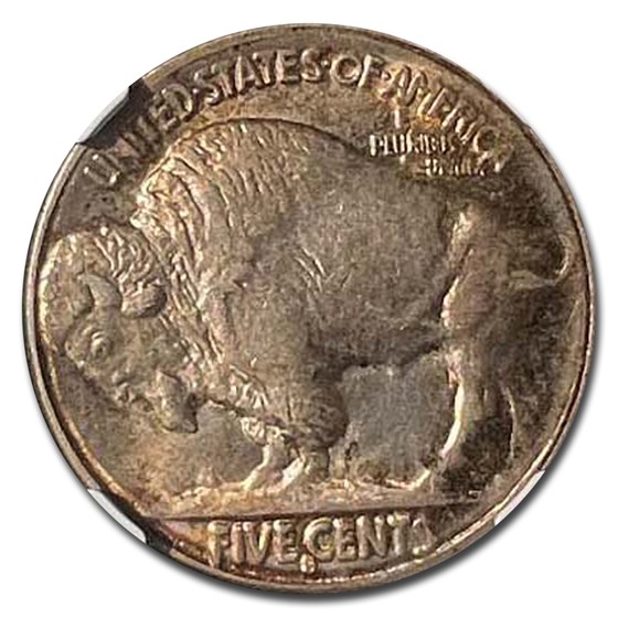 Buy 1913-S Buffalo Nickel Type-II MS-64 NGC | APMEX