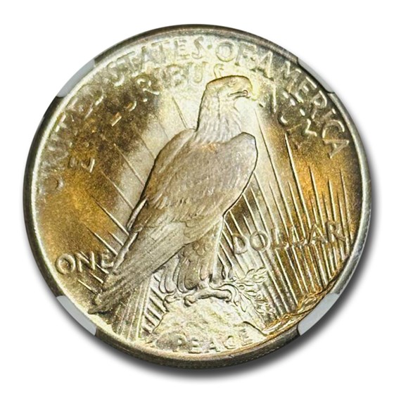 Buy 1925 Peace Dollar MS-67+ NGC CAC | APMEX