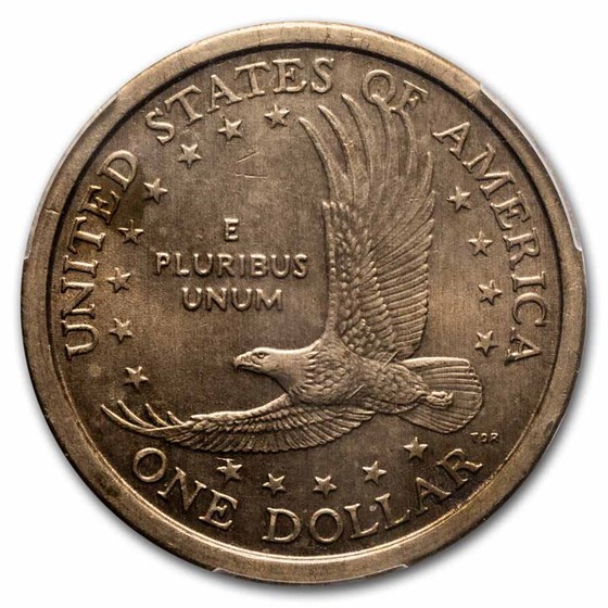 Buy 2000-P Sacagawea Dollar "Wounded Eagle" Unc Details PCGS | APMEX