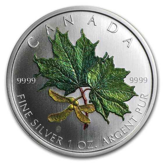 Buy 2002 Canadian 1 oz Silver Maple Leaf Summer Colors | APMEX