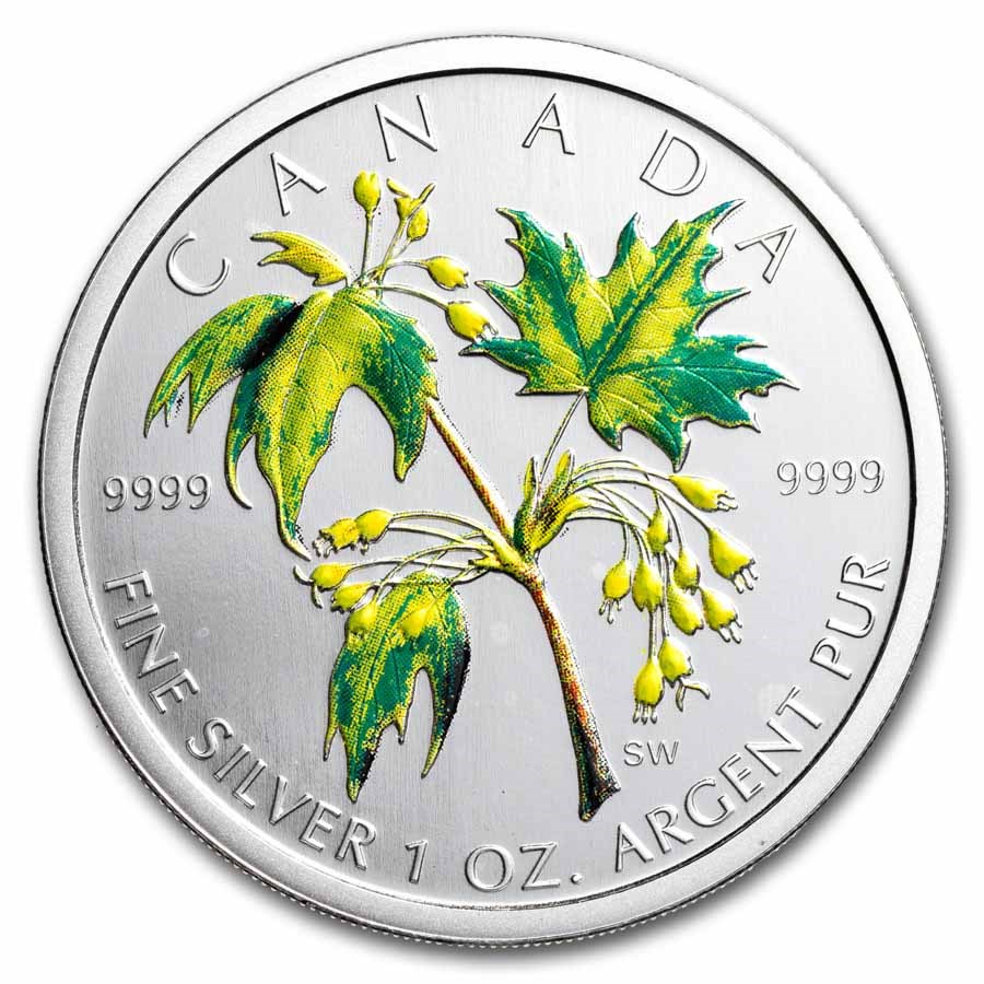 Buy 2003 Canadian 1 oz Silver Maple Leaf Summer (Details) | APMEX