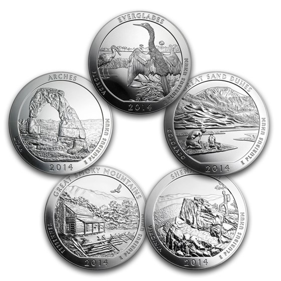 Buy 2010-2016 35-Coin 5 oz Silver America The Beautiful Set | APMEX