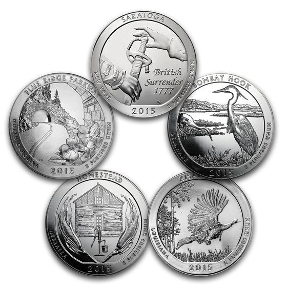 Buy 2010-2016 35-Coin 5 oz Silver America The Beautiful Set | APMEX