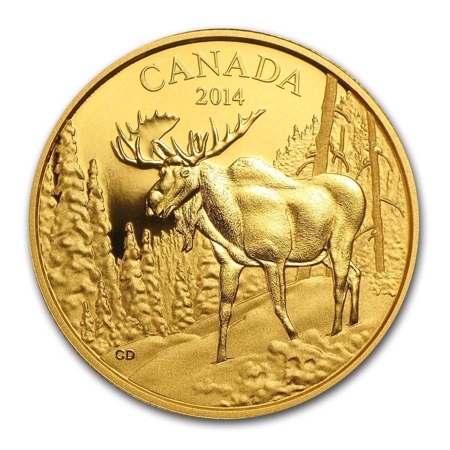 Buy 2014 Canada Proof Gold $350 The Majestic Moose | APMEX
