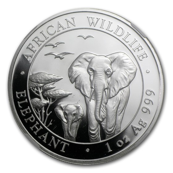Buy 2015 Somalia 1 oz Silver African Elephant MS-69 NGC (ER) | APMEX