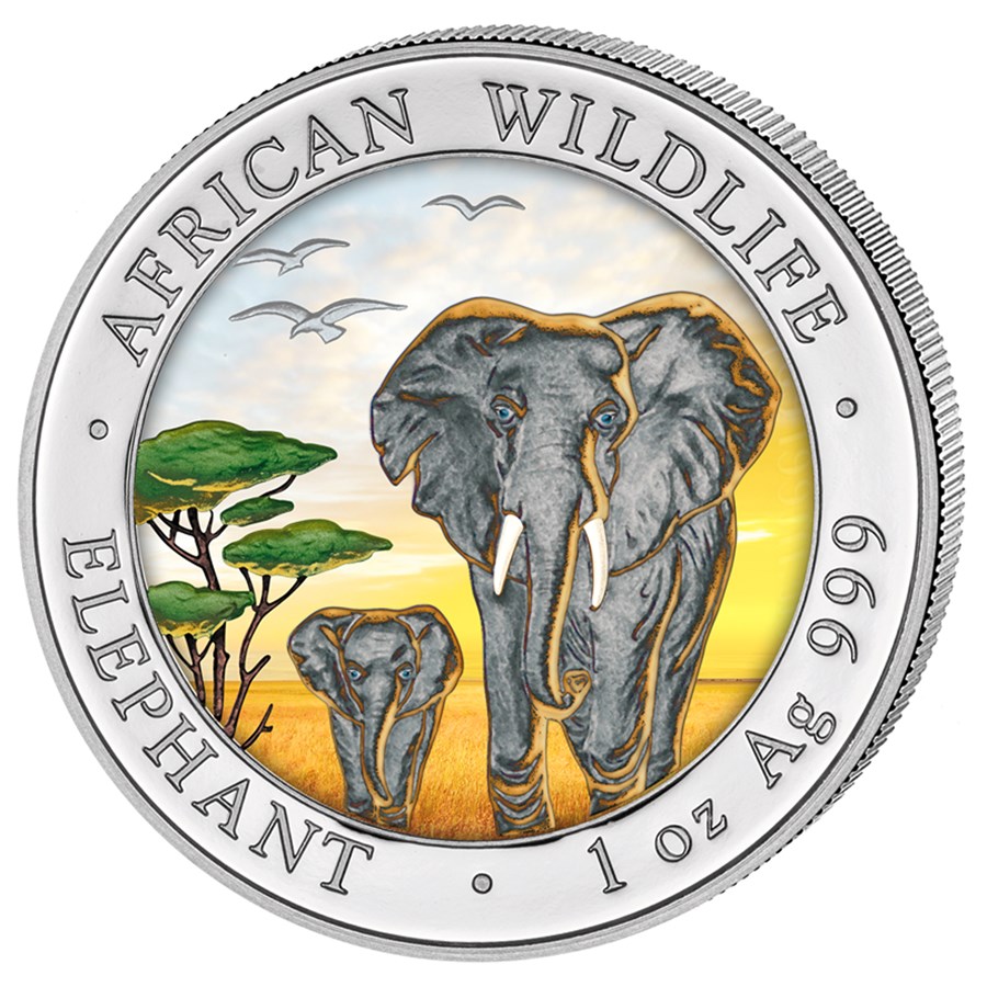 Buy 2015 Somalia 1 oz Silver Elephant (Colorized) | APMEX