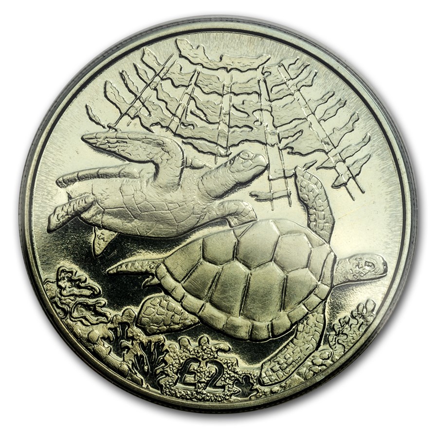 Buy 2017 British Indian Ocean Territory 1/3 oz Green Titanium Turtle ...