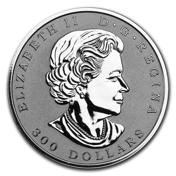 Buy 2017 Canada 1 oz Platinum $300 Maple Leaf Forever | APMEX Buy 2017 Canada 1 oz Platinum $300 Maple Leaf Forever | APMEX