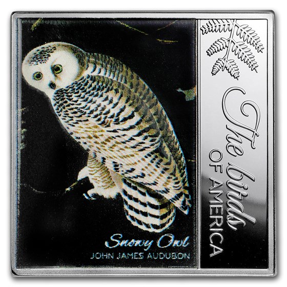 Buy 2017 Republic of Cameroon Silver The Birds of America (Snowy Owl ...