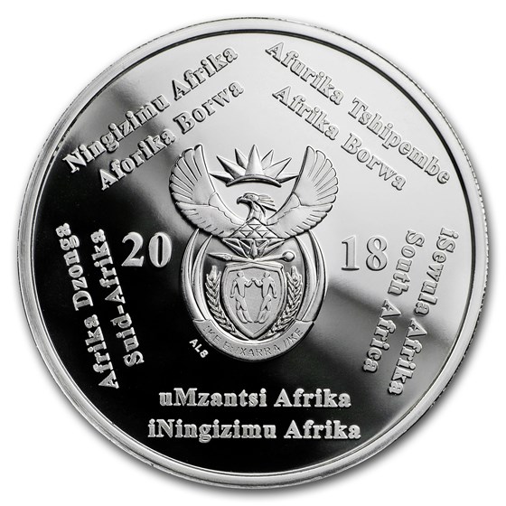 Buy 2018 S. Africa 1 oz Silver Proof South African Inventions-CT Scan ...
