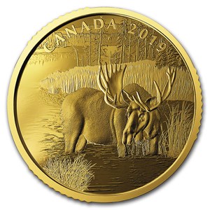 Buy 2019 Canada 1 oz Proof Gold $200 Canadian Moose | APMEX