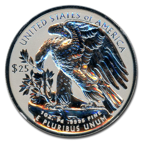 Buy 2019-W 1 oz Reverse Proof Palladium Eagle PF-69 NGC (Struck Thru ...