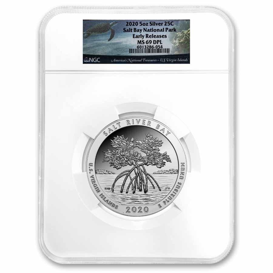 2020 5 oz Silver ATB Salt River Bay MS-69 DPL NGC (ER/FR)