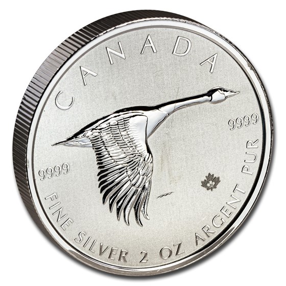 Buy 2020 Canada 2 oz $10 Silver Canadian Goose (Abrasions) | APMEX
