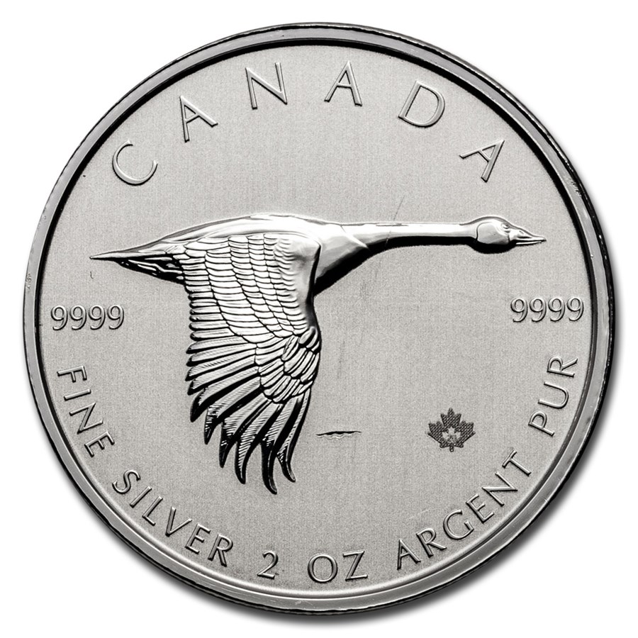 Buy 2020 Canada 2 oz $10 Silver Canadian Goose (Abrasions) | APMEX
