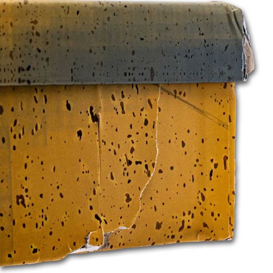 2021 Mongolia 3 oz Silver Mechanical Ladybug (Damaged Outer Box)