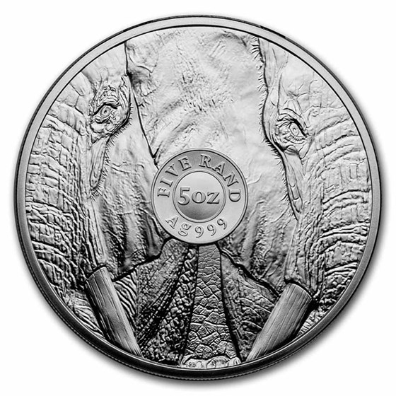 Buy 2021 South Africa 5 oz Silver Big Five Elephant Proof | APMEX