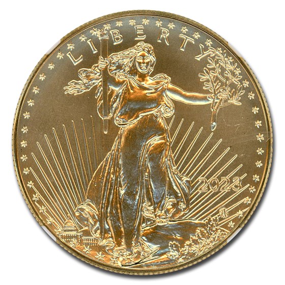 2023 1 oz American Gold Eagle MS-70 NGC (Everhart)