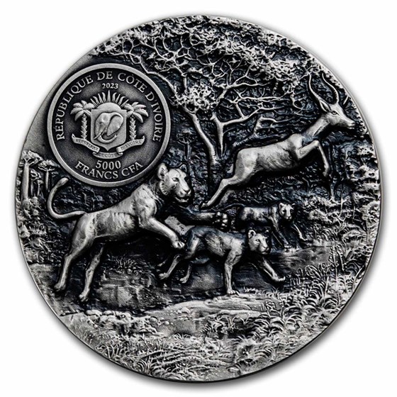 Buy 2023 Ivory Coast 3 oz Antique Silver Predators: Lion | APMEX