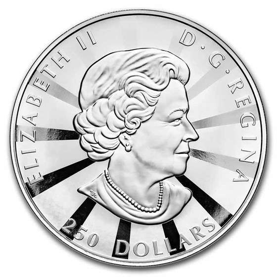 Buy 2023 Canadian 1 Kilo Silver Maple Leaf | APMEX