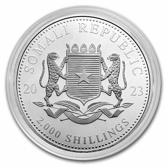 Buy 2023 Somalia 1 kilo Silver African Wildlife Leopard BU | APMEX