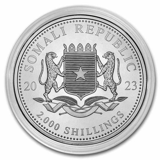 Buy 2023 Somalia 1 kilo Silver Elephant BU | APMEX