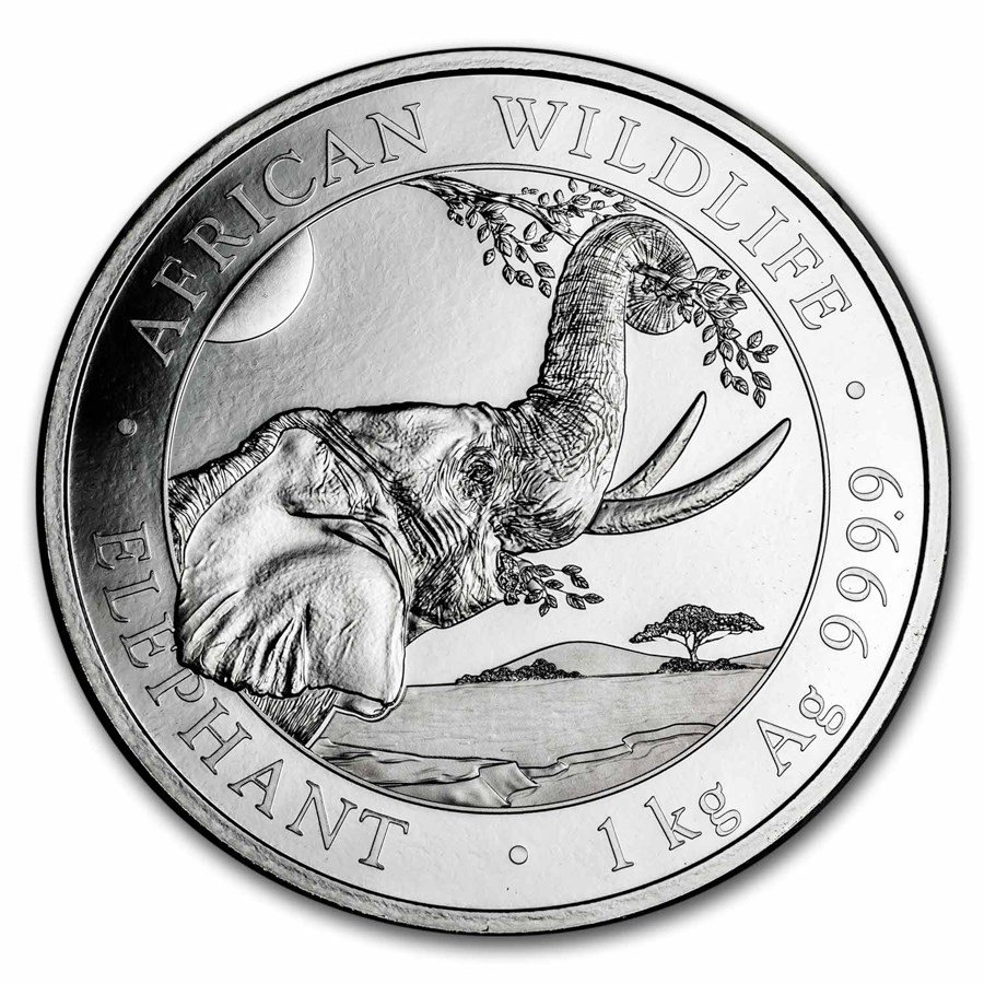 Buy 2023 Somalia 1 kilo Silver Elephant BU | APMEX