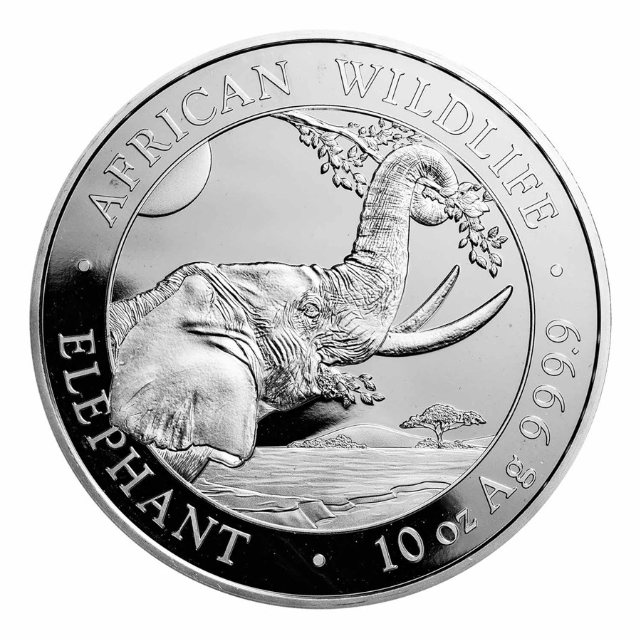 Buy 2023 Somalia 10 oz Silver Elephant BU | APMEX