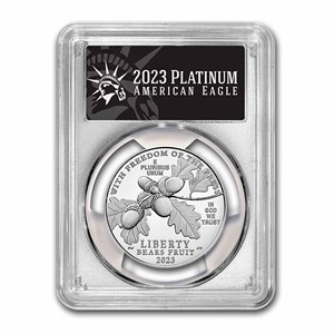 Buy 2023 W Proof Platinum Eagle PR-70 | APMEX