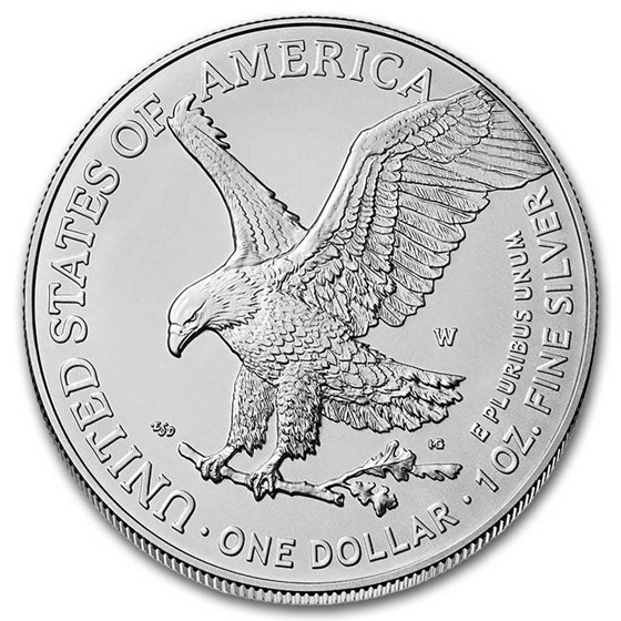 2024-W Burnished Silver Eagle MS-70 NGC (Early Releases)