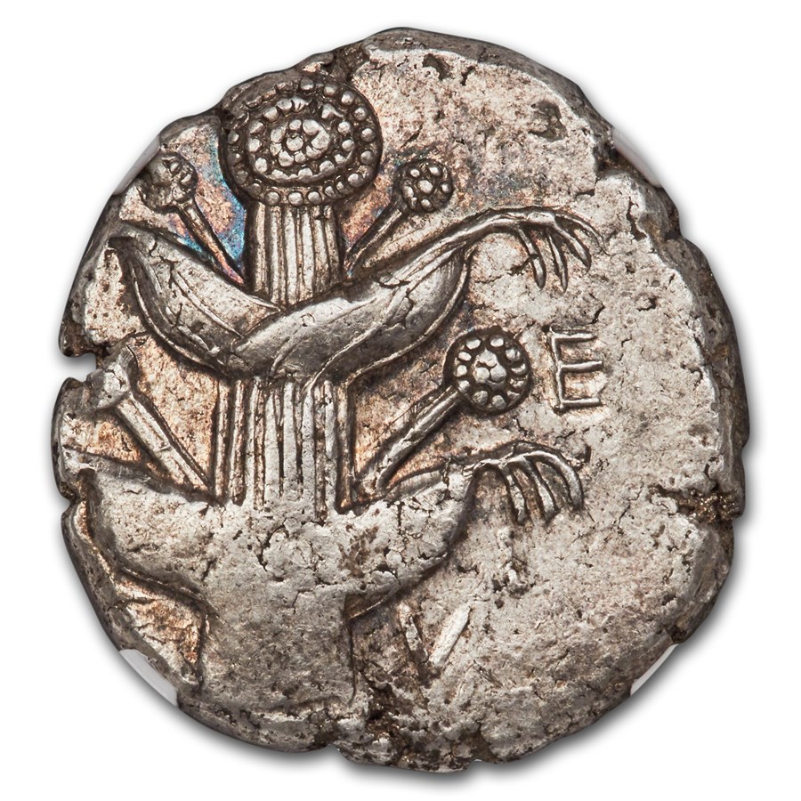 Buy Cyrenaica, Cyrene AR Tetradrachm 480-435 BC Ch XF NGC | APMEX