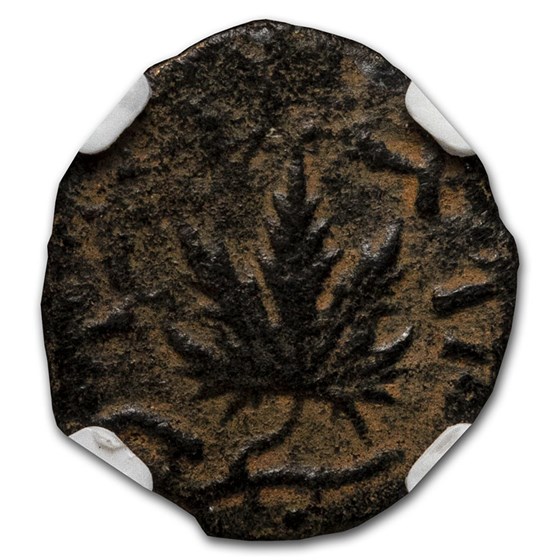 Buy Judaea AE Prutah Jewish War (67/8 AD) Ch VF NGC Year 2 (Repatina ...