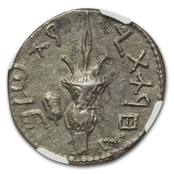 Buy Judaea AR Sela Bar Kokhba (132-135 AD) Ch AU NGC | APMEX