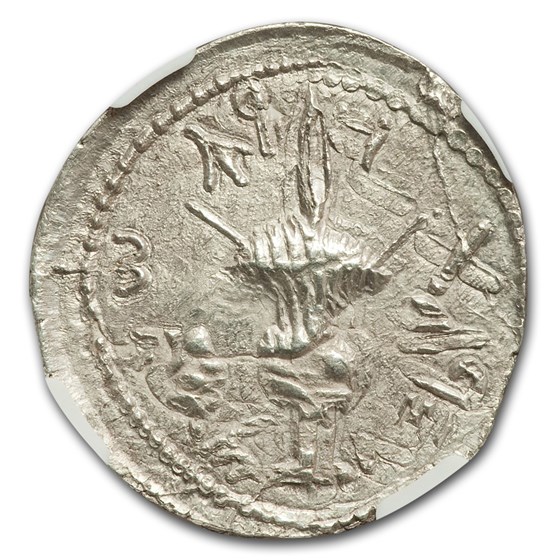 Buy Judaea AR Sela Bar Kokhba (132-135 AD) MS NGC | APMEX