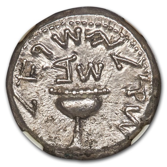 Buy Judaea AR Shekel Jewish War (66-70 AD) MS NGC (Yr.2 67/8 AD) | APMEX