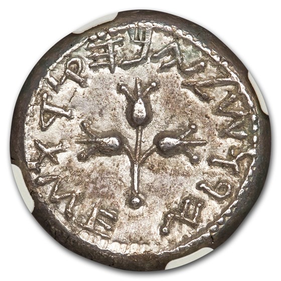 Buy Judaea AR Shekel Jewish War (66-70 AD) MS NGC (Yr.2 67/8 AD) | APMEX