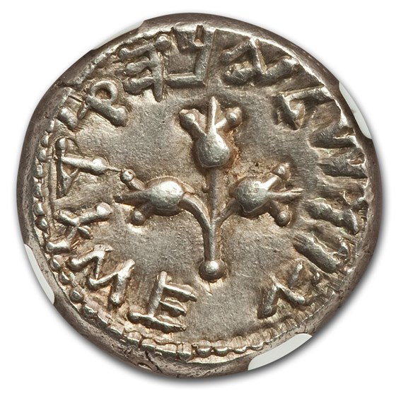 Buy Judaea AR Silver Shekel Jewish War (66-70 AD) AU NGC | APMEX