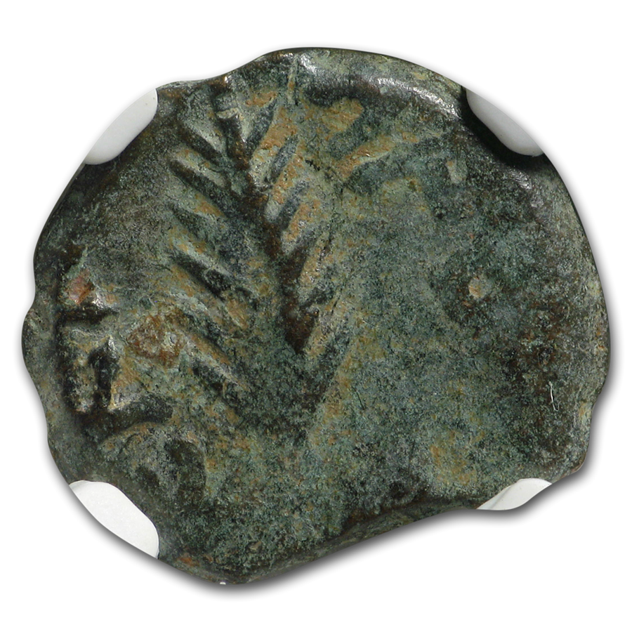 Buy Judaea Procurators AE Prutah Porcius Festus (59-62 AD) NGC | APMEX