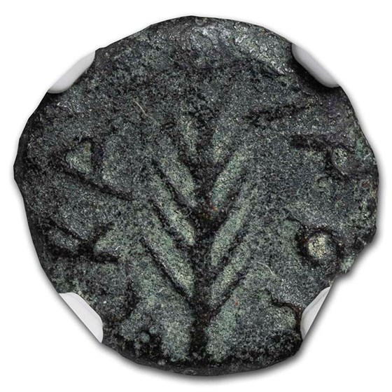 Buy Judaea Procurators AE Prutah Porcius Festus (59-62 AD) VF NGC | APMEX